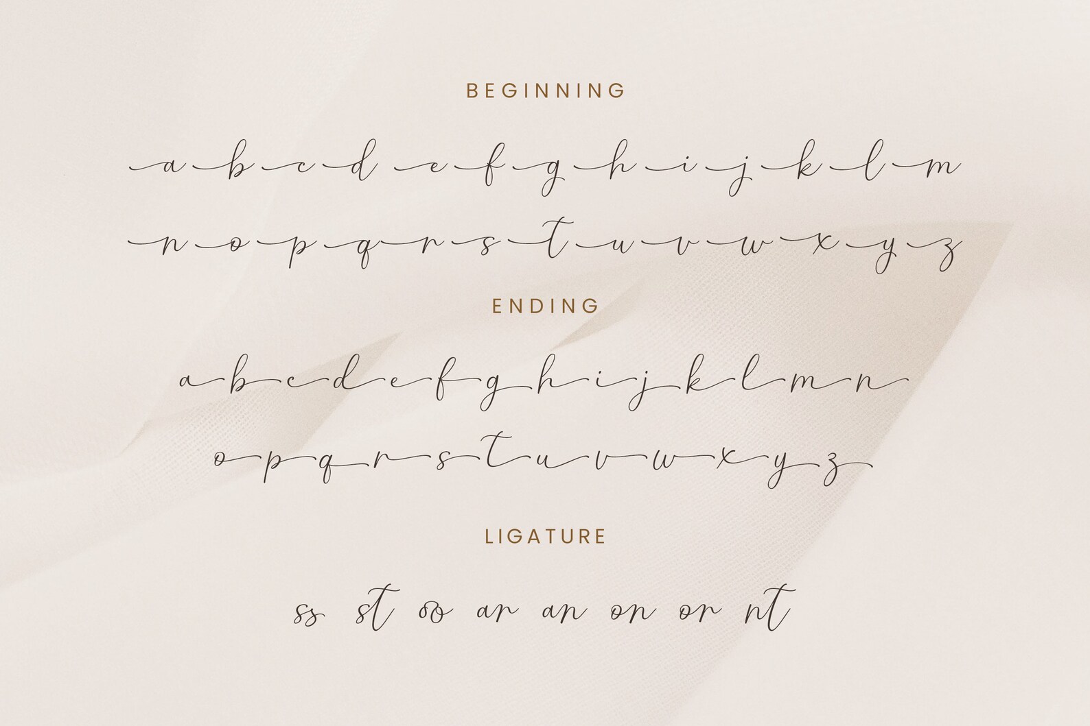 Carly Script Handwritten Script Font, Brush Font, Cricut Font, Procreate Fonts, Canva Fonts ...