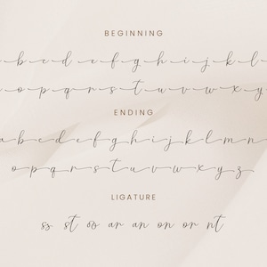 Carly Script - Handwritten Script Font, Brush Font, Cricut Font ...