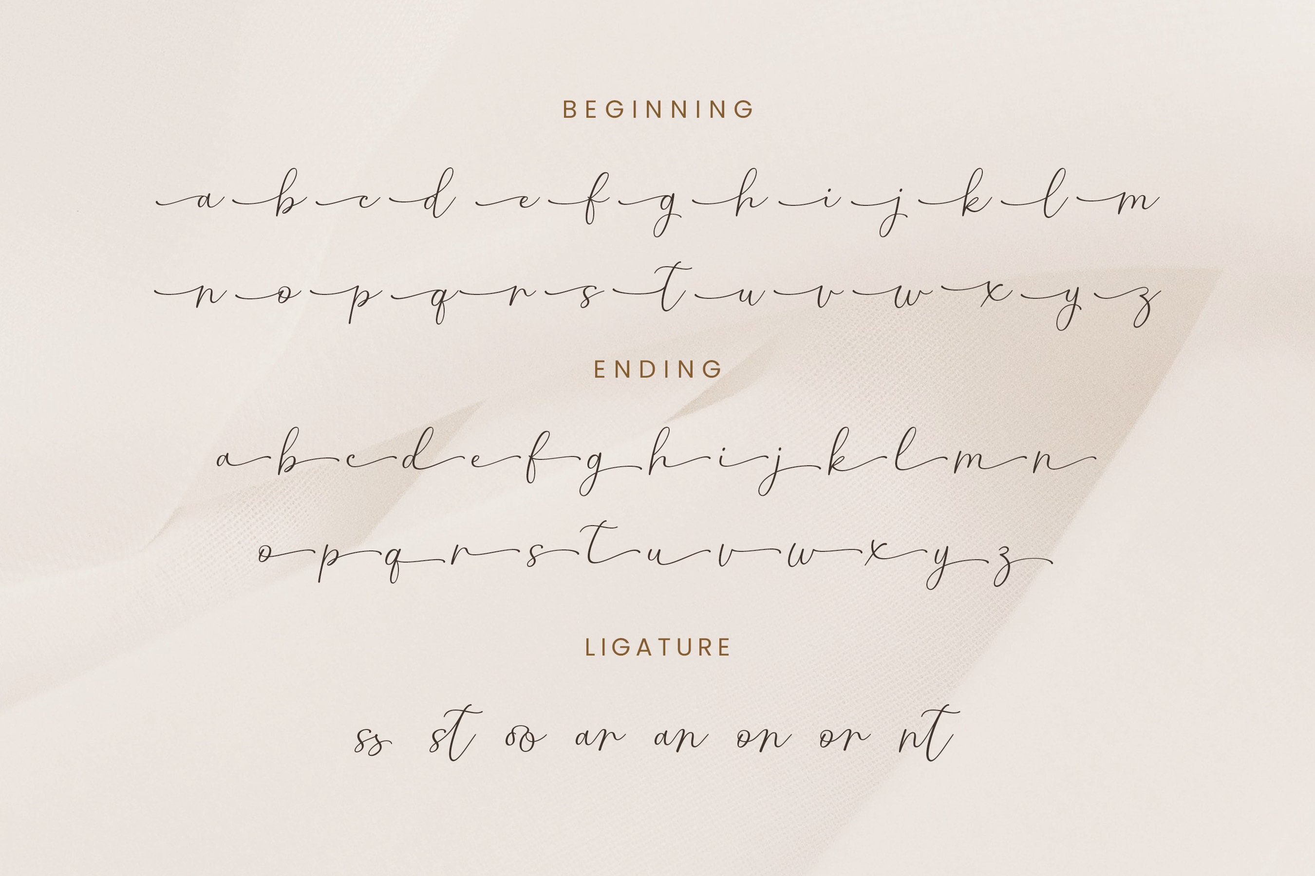 Carly Script Handwritten Script Font, Brush Font, Cricut Font ...