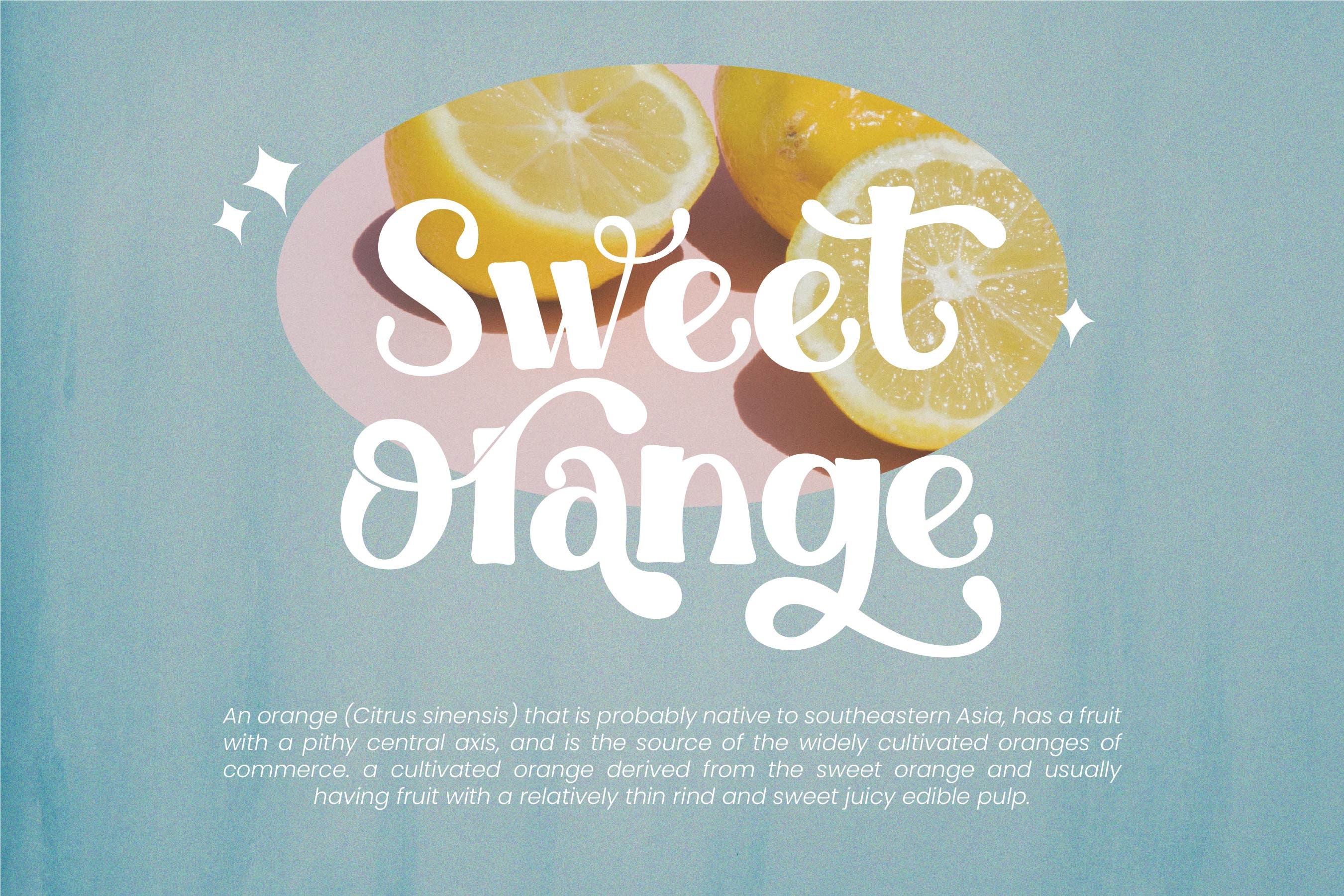 Adelaide Sweet Retro Font Serif Font Procreate Font SVG - Etsy