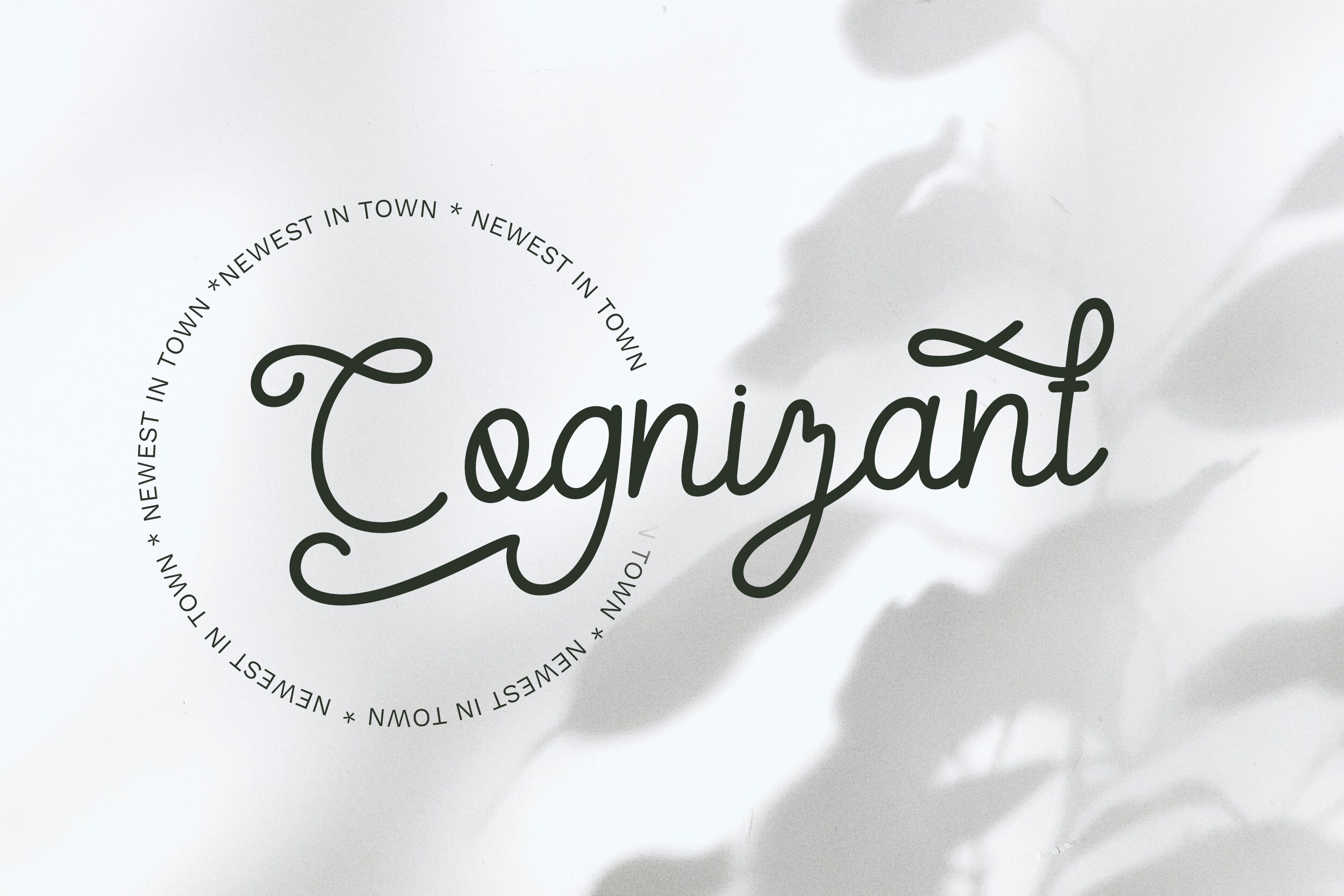 The Kallyne Modern Monoline Script Font, Script Font, Monoline Font ...