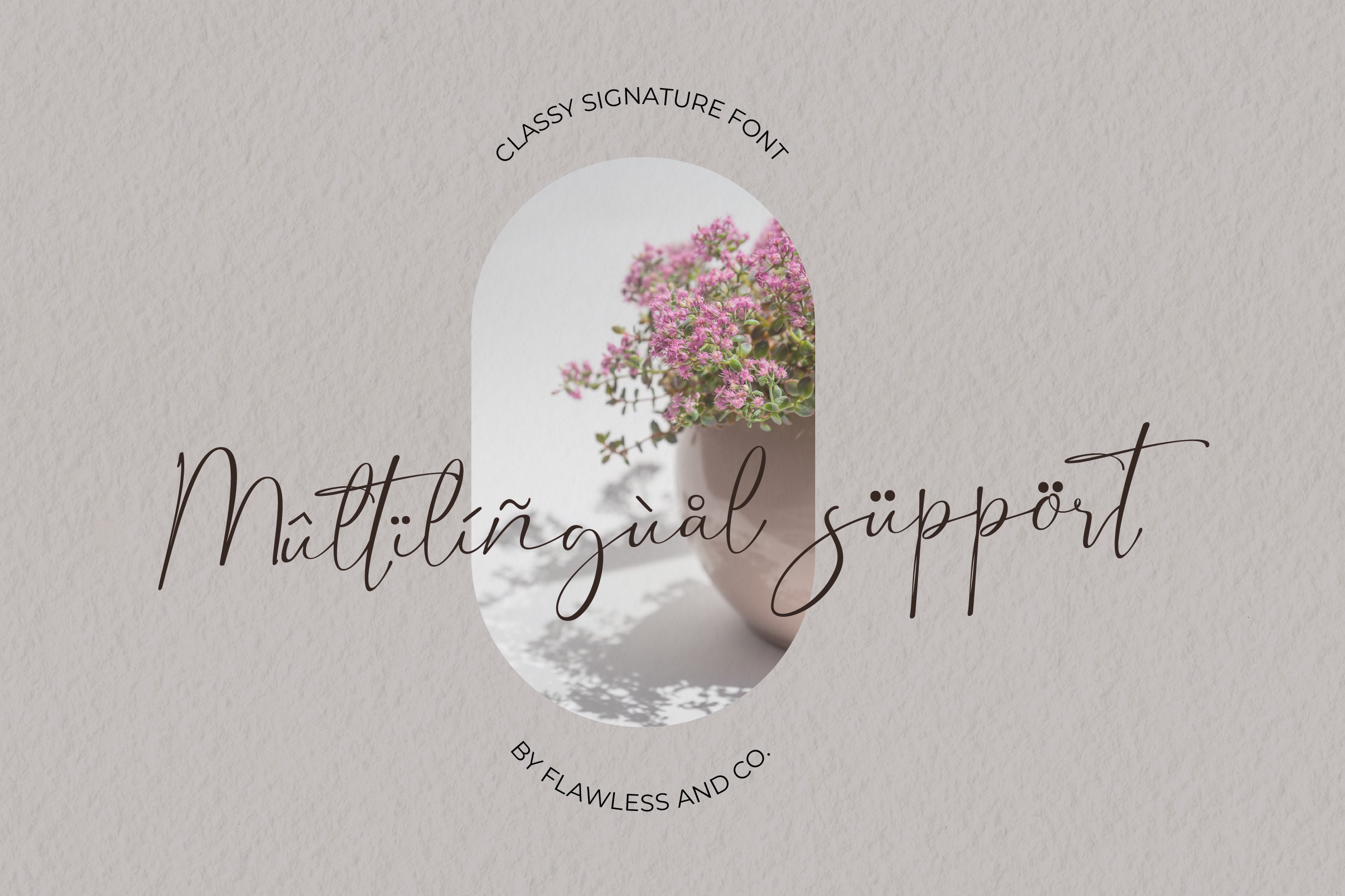 Dorothy Modern Handwritten Script Font, Signature Font, Canva Font ...