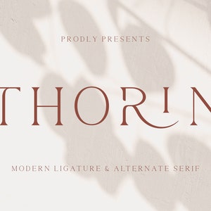 Thorin - Modern Serif Font, Branding Font, Boho Font, Canva Font ...