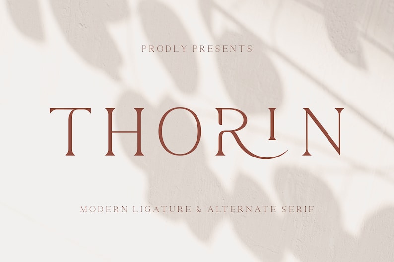 Thorin Modern Serif Font, Branding Font, Boho Font, Canva Font ...