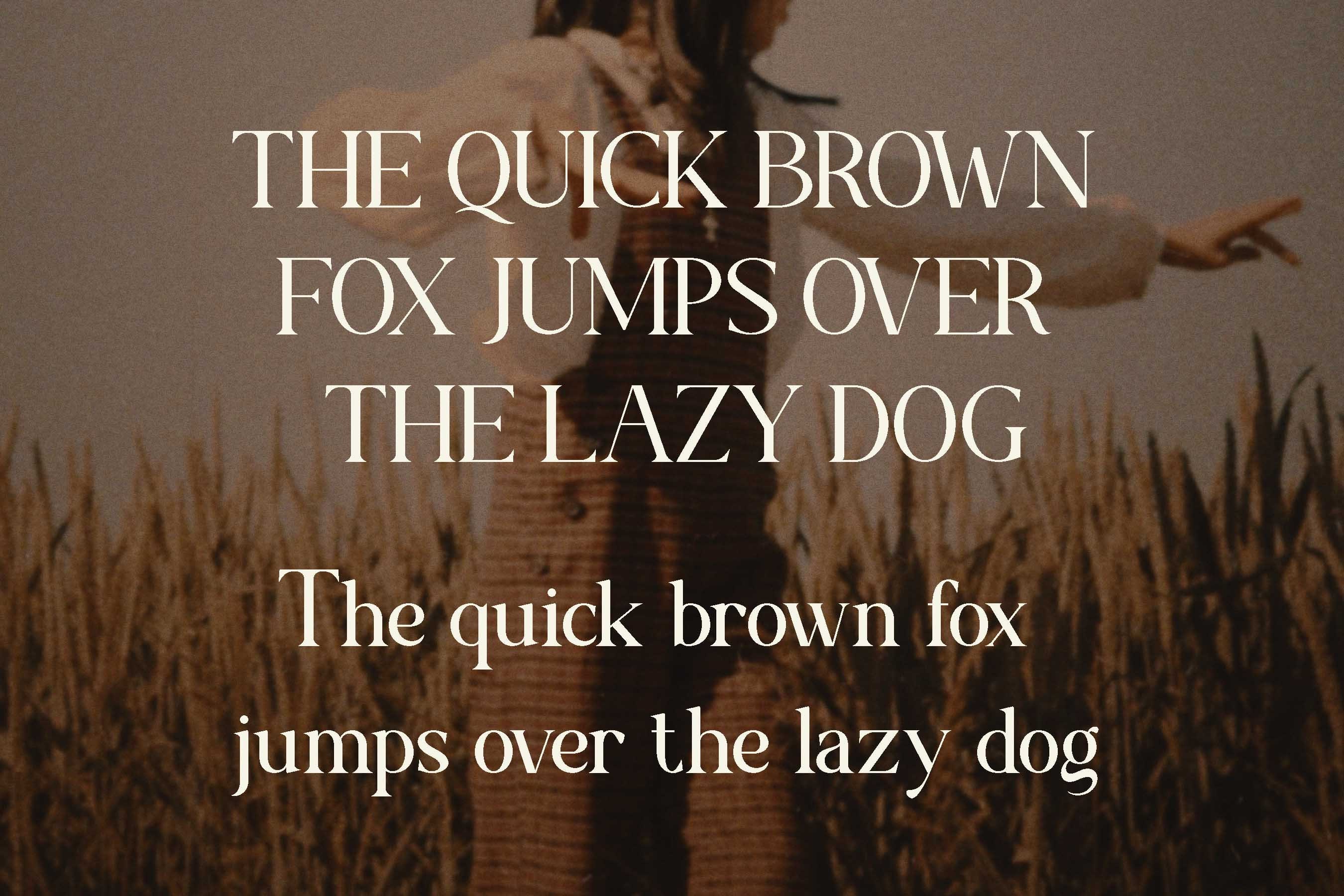 Morven A Modern Serif Font With a Classic Twist, Sophisticated, Canva ...