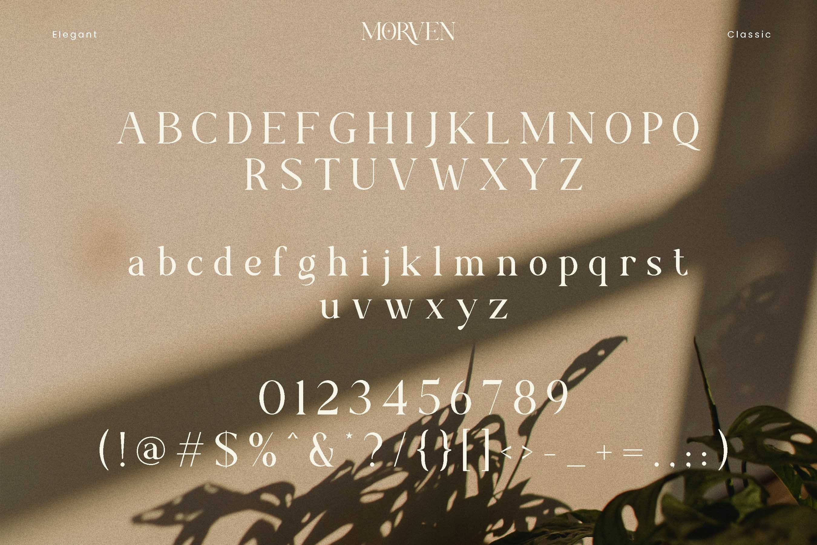 Morven A Modern Serif Font With a Classic Twist, Sophisticated, Canva ...