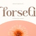 Forseti Serif Font Canva Font Procreate Font Cricut Font - Etsy