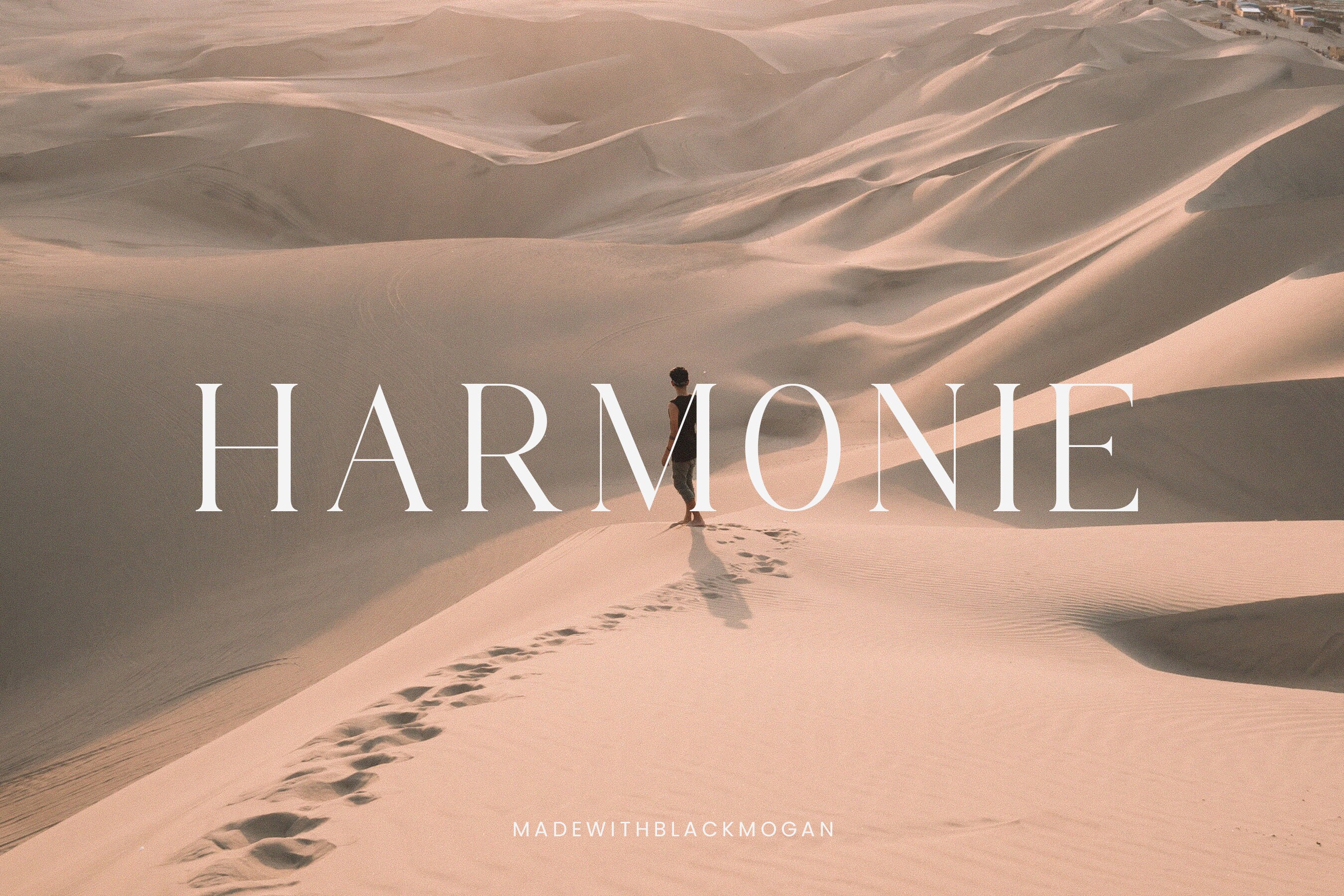 Mogan Modern Serif Font, Decorative Font, Canva Font, Procreate Font ...