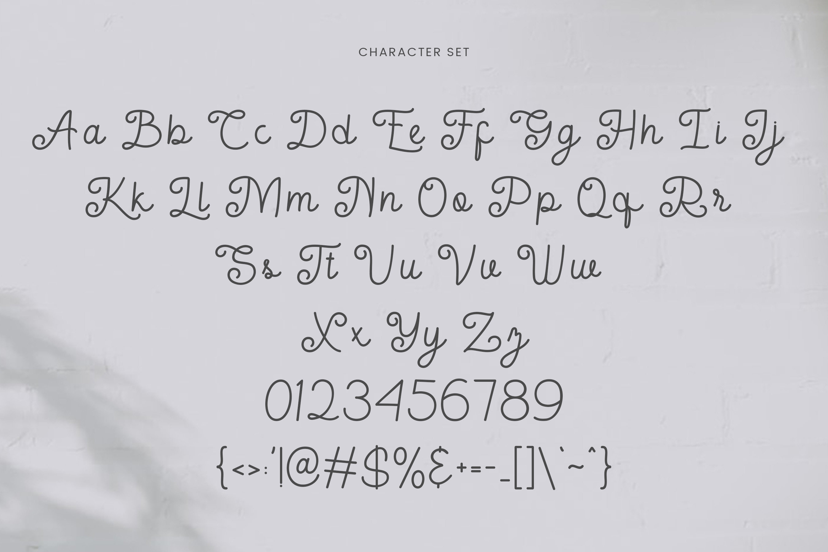 The Kallyne Modern Monoline Script Font, Script Font, Monoline Font ...