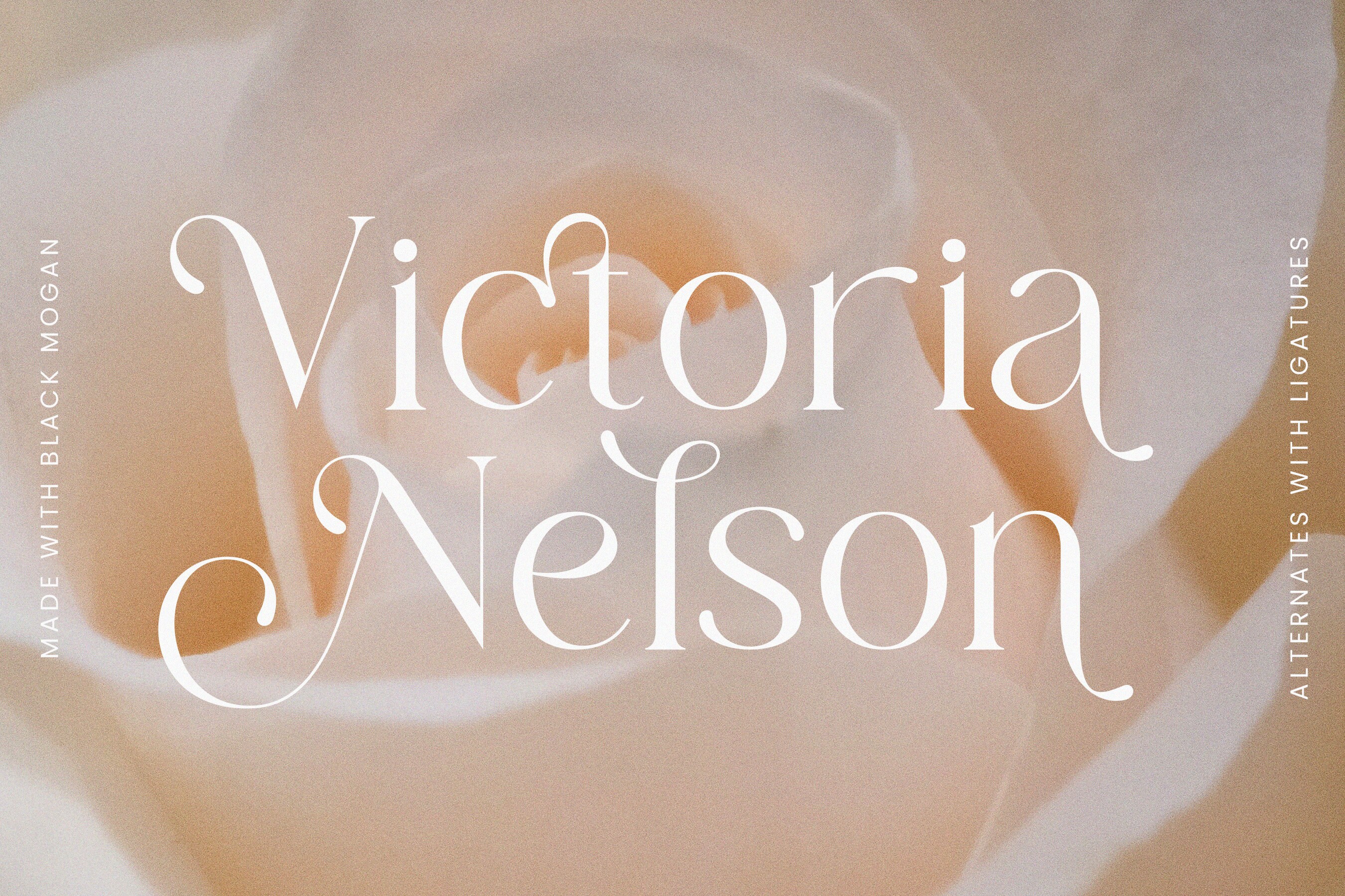 Mogan Modern Serif Font, Decorative Font, Canva Font, Procreate Font ...