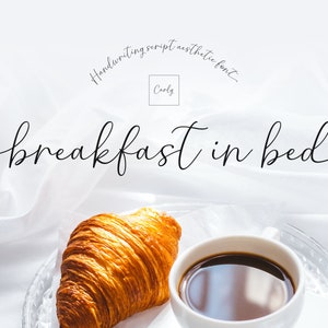 Carly Script - Handwritten Script Font, Brush Font, Cricut Font ...