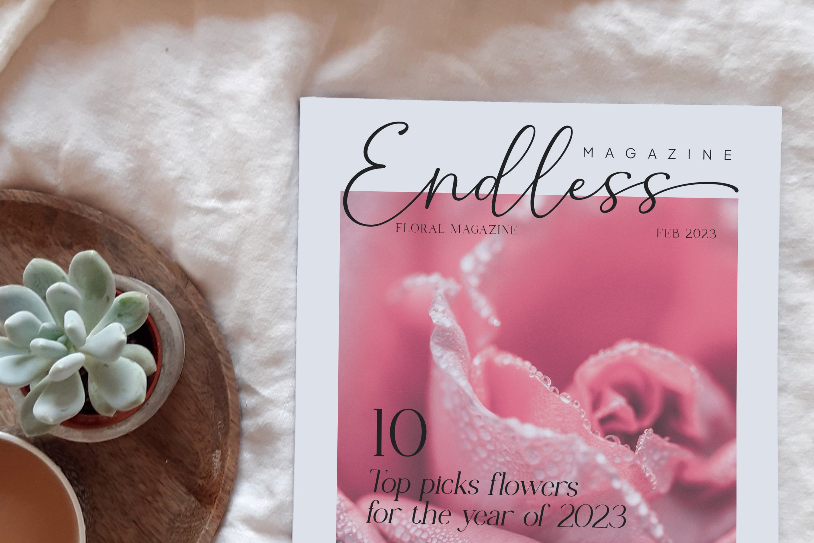 Carly Script Handwritten Script Font, Brush Font, Cricut Font ...