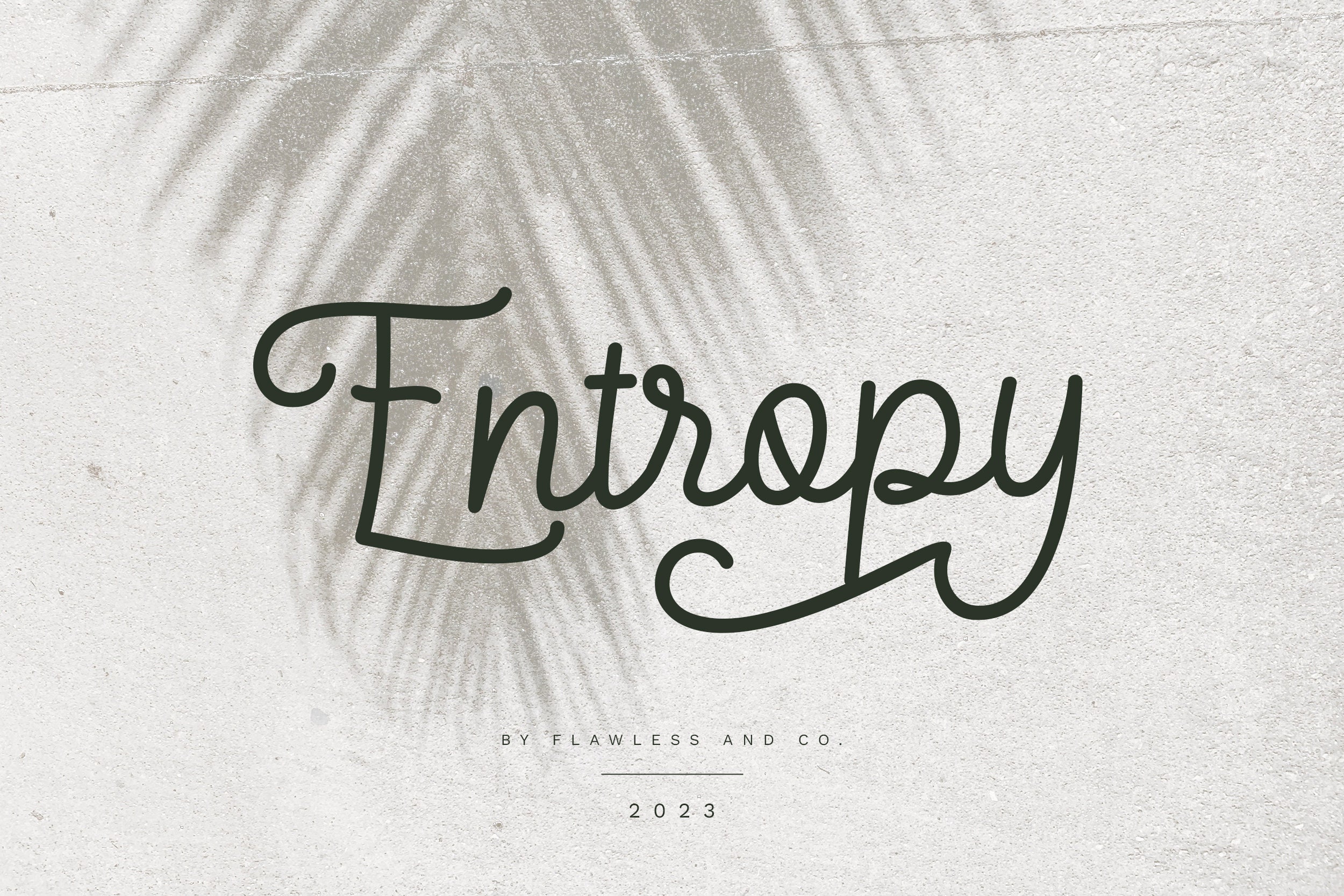 The Kallyne Modern Monoline Script Font, Script Font, Monoline Font ...