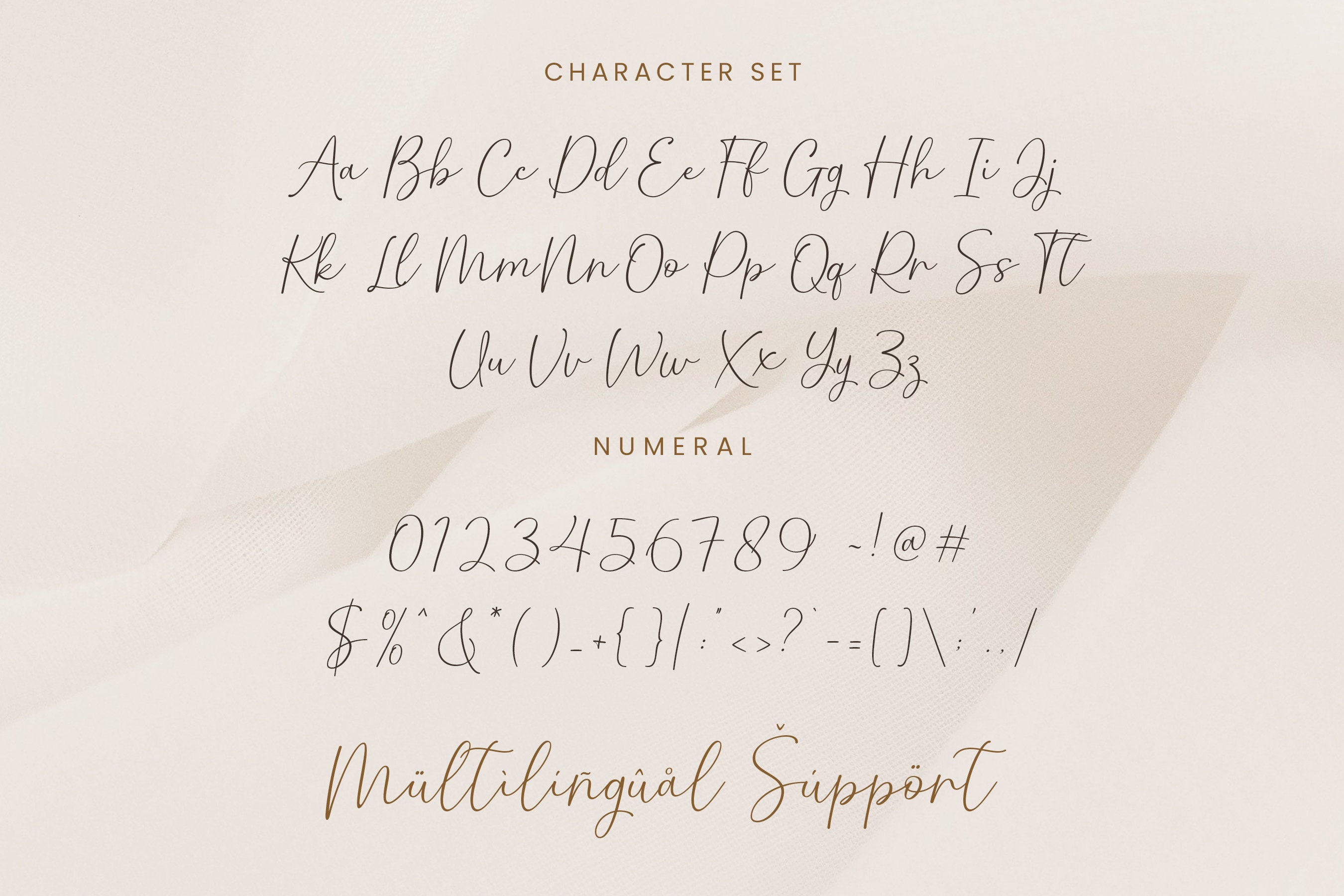 Carly Script Handwritten Script Font, Brush Font, Cricut Font ...