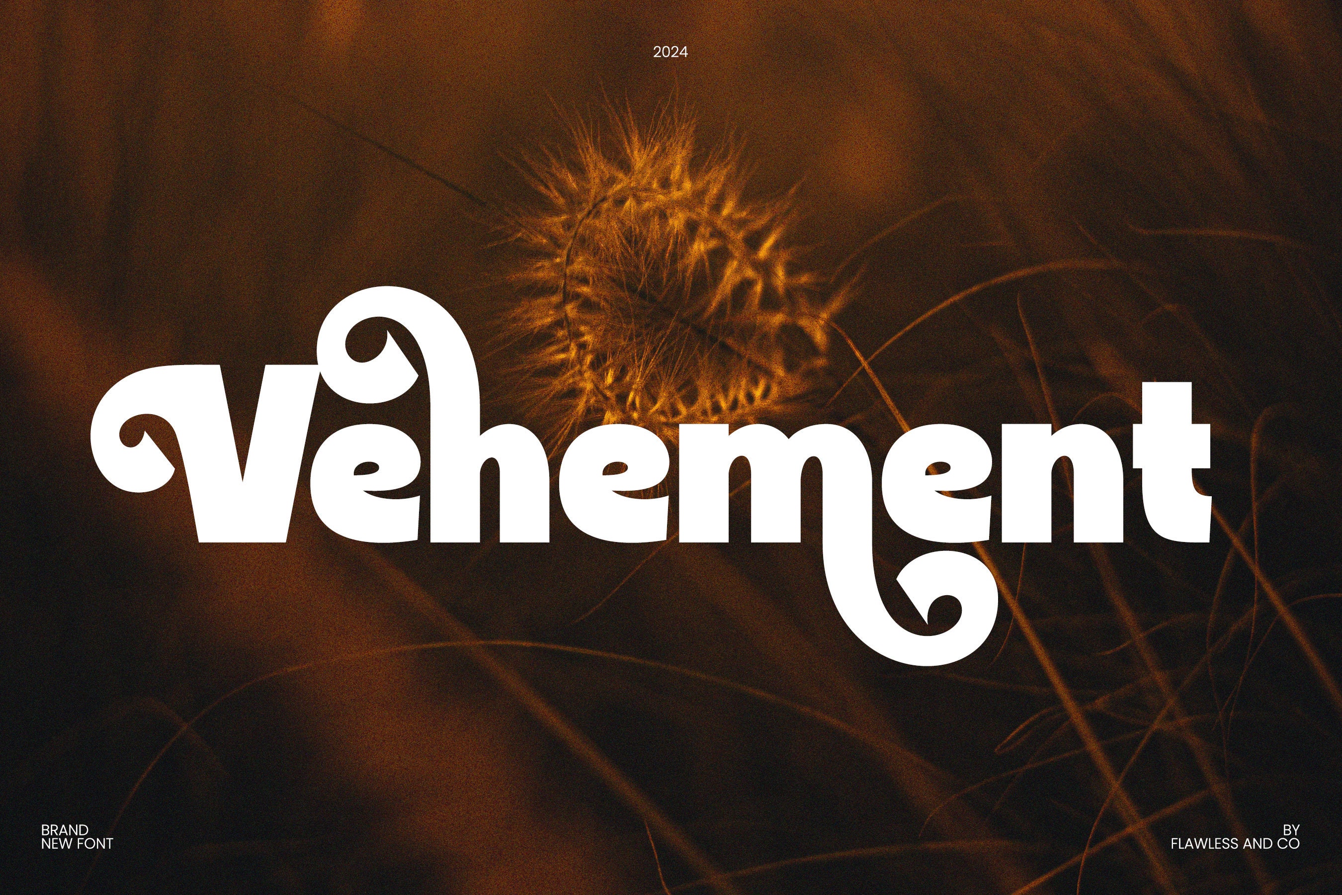 Bardy Elegant Retro Sans Serif Font, Retro Font, Sans Serif Font ...