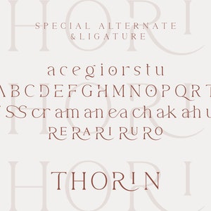 Thorin - Modern Serif Font, Branding Font, Boho Font, Canva Font ...