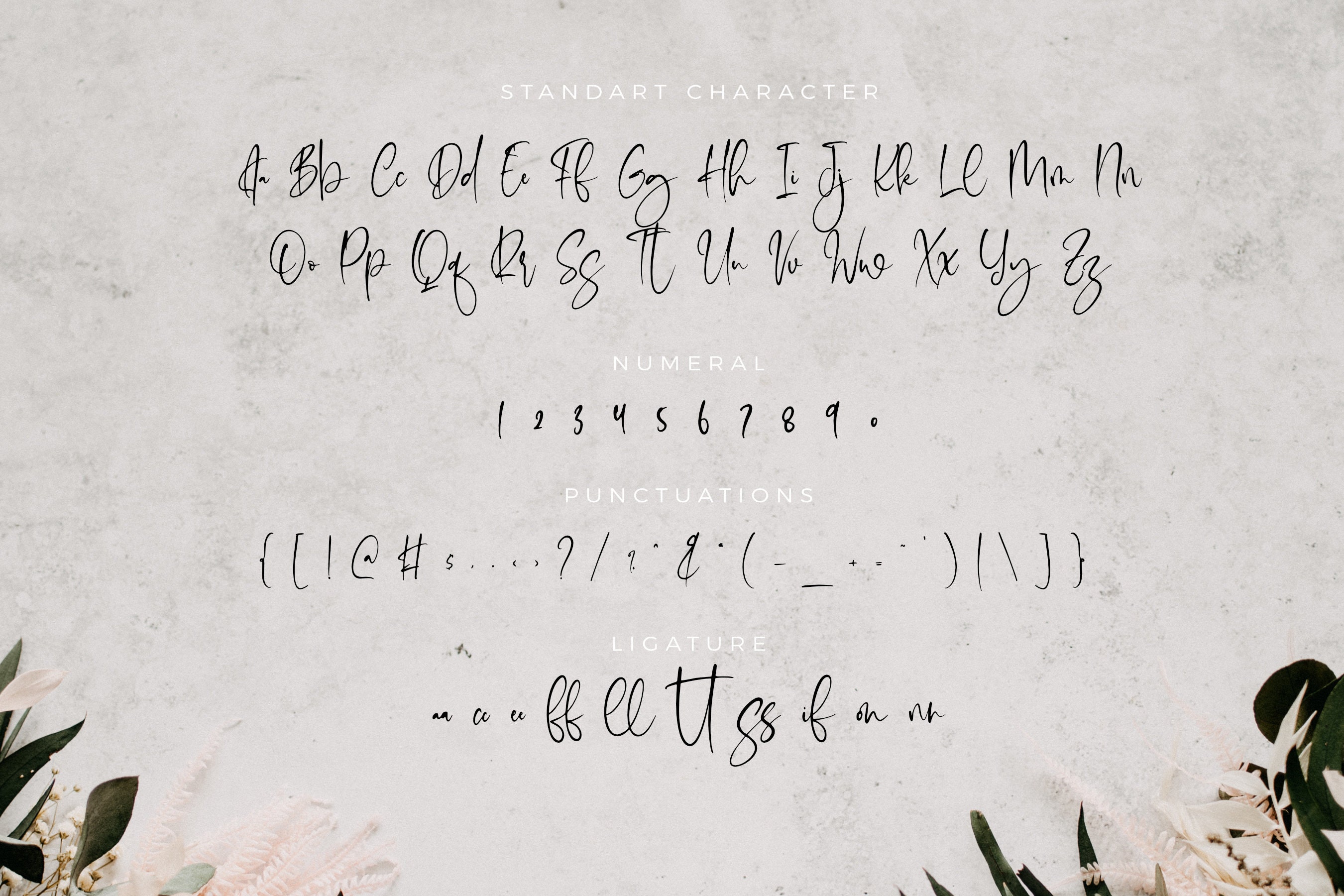 Moister Script Modern Handwritten Script Font, Cricut Font, Canva Font, Handlettered, Modern ...
