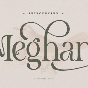 Meghan - Artsy Font, Modern Font, Milenial Font, Canva Font, Procreate ...
