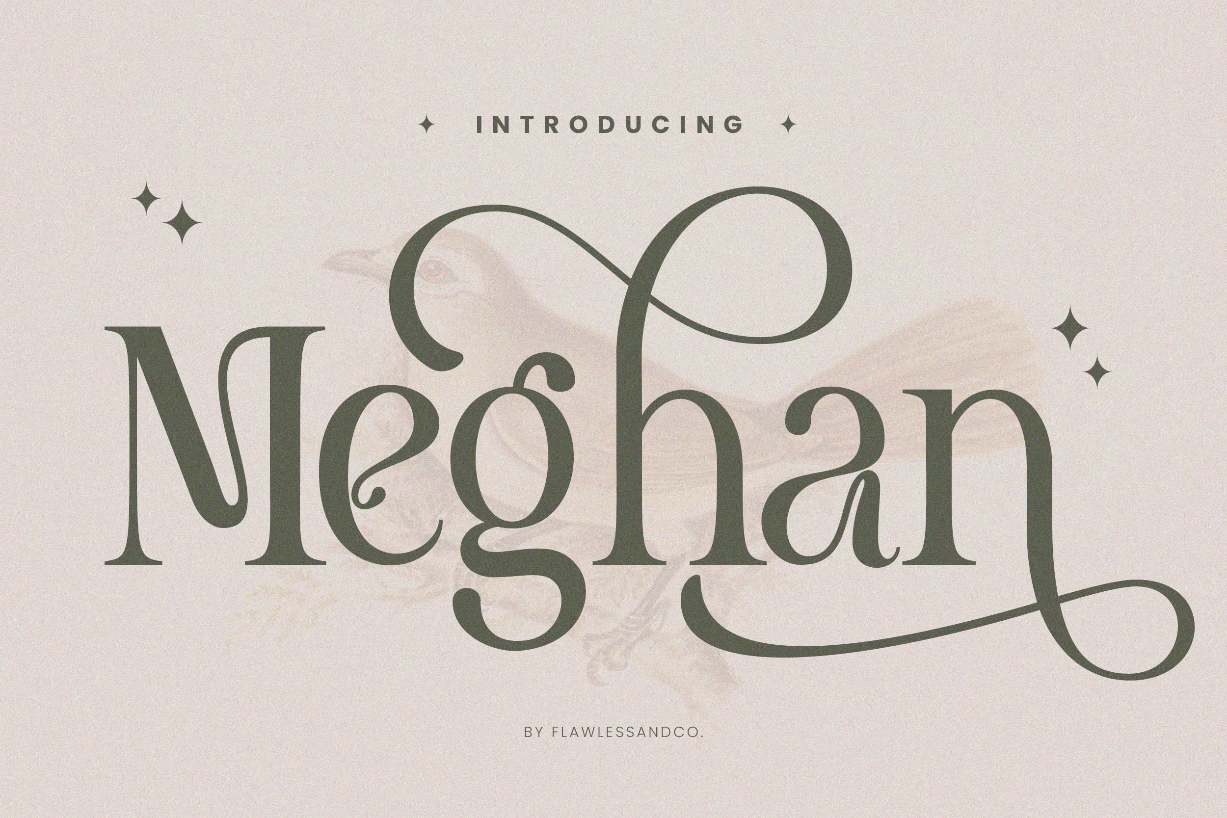 Meghan - Artsy Font, Modern Font, Milenial Font, Canva Font, Procreate ...