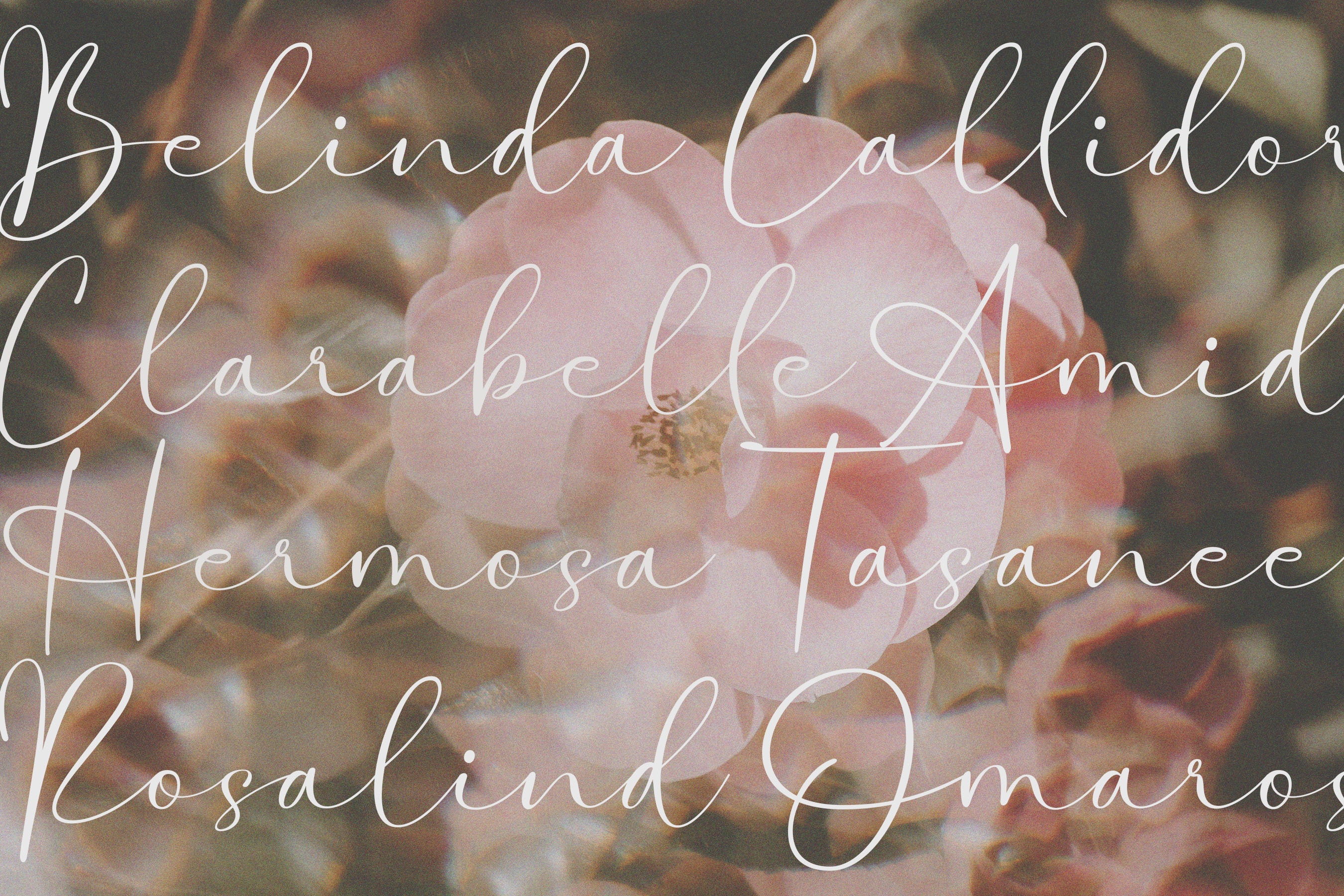 Kinslee Calligraphy Font, Canva Font, Procreate Fonts, Script Font ...