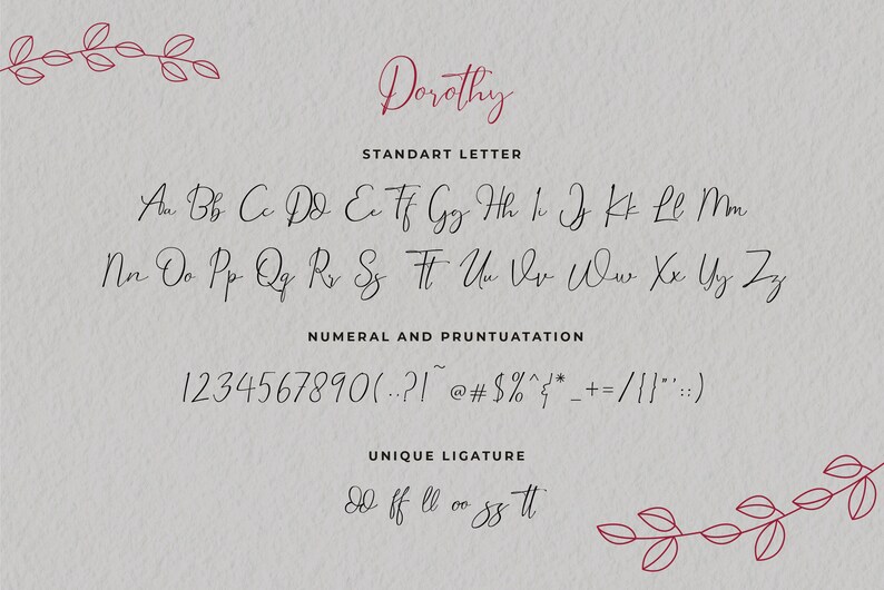 Dorothy Modern Handwritten Script Font, Signature Font, Canva Font ...