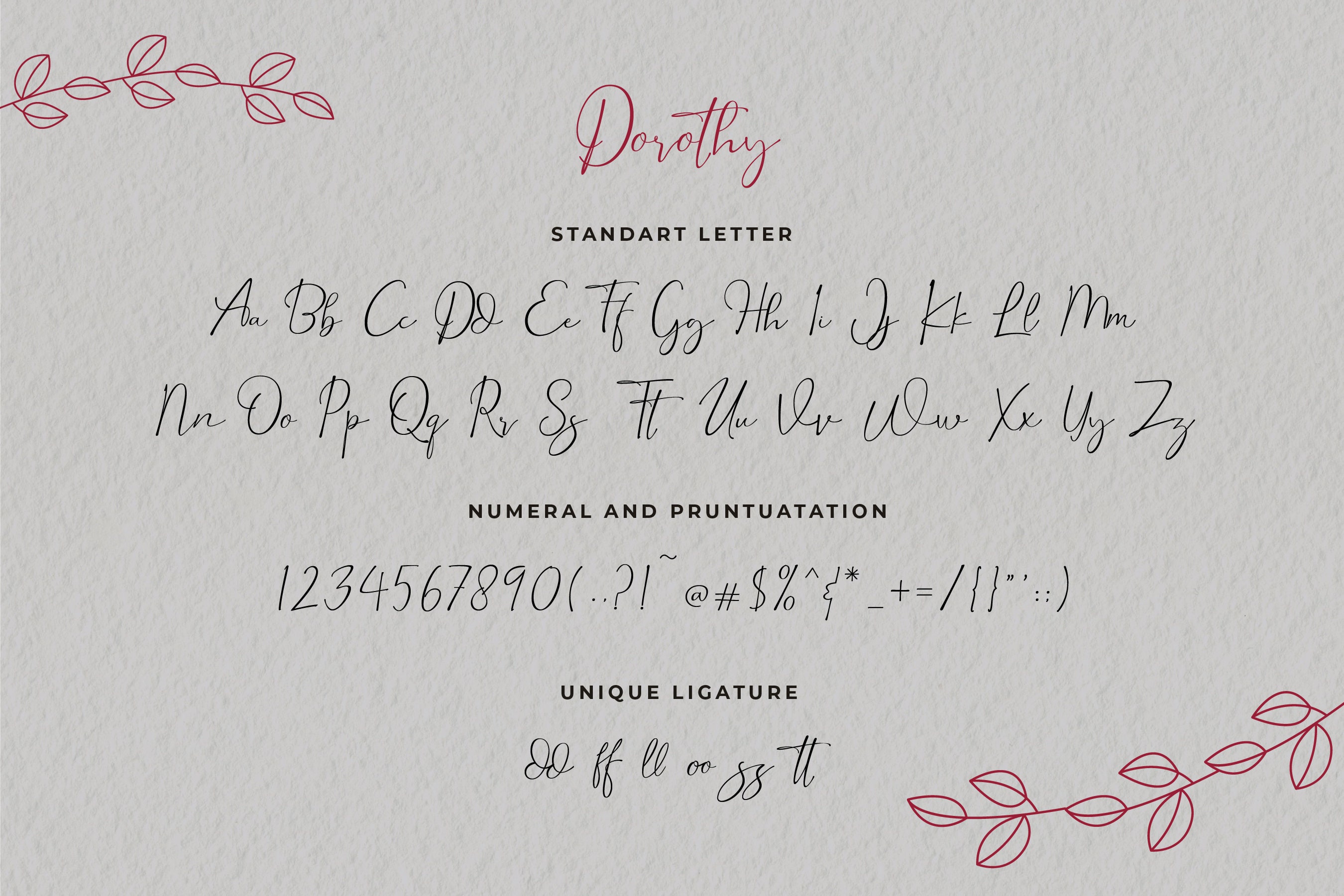 Dorothy Modern Handwritten Script Font, Signature Font, Canva Font ...