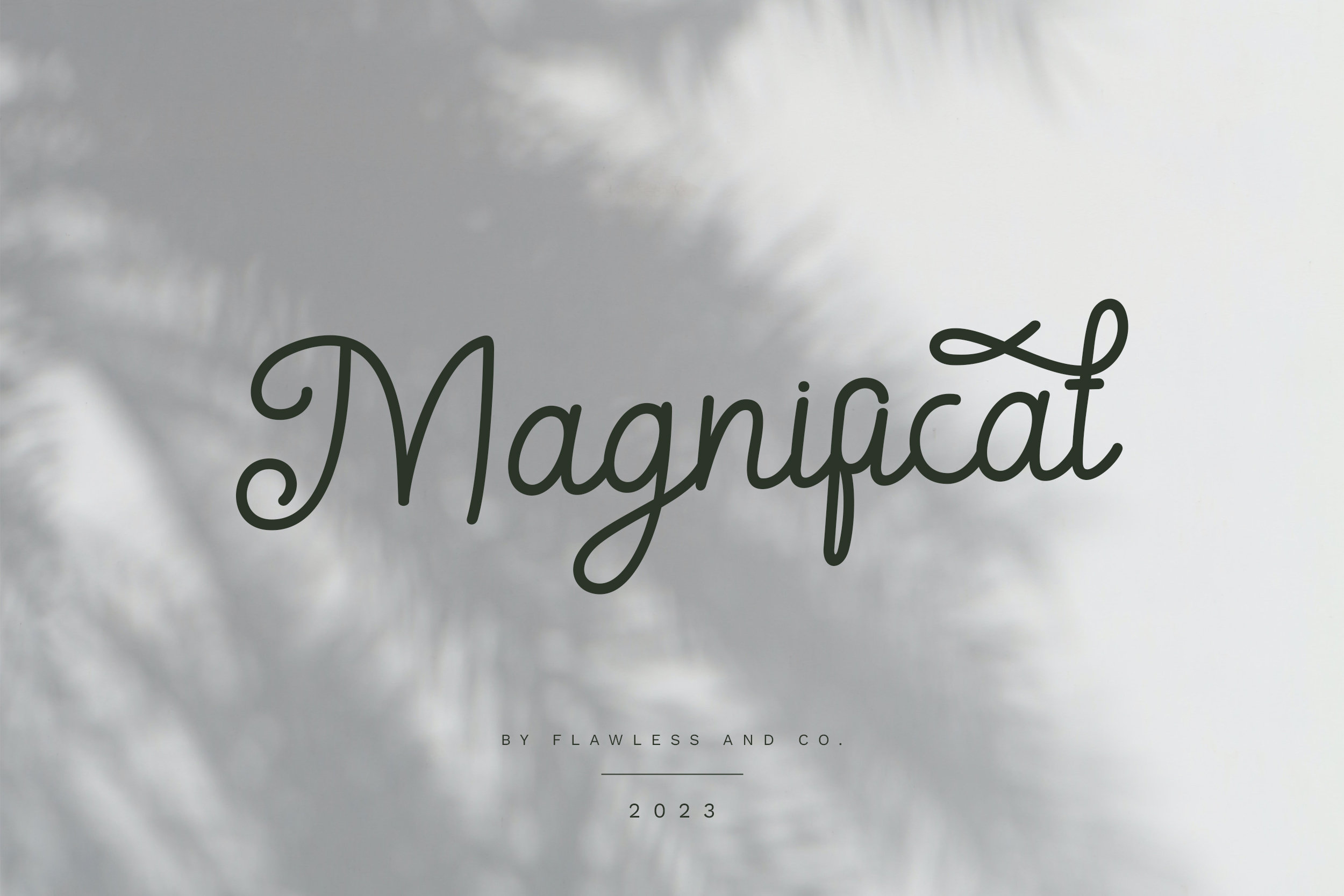 The Kallyne Modern Monoline Script Font, Script Font, Monoline Font ...