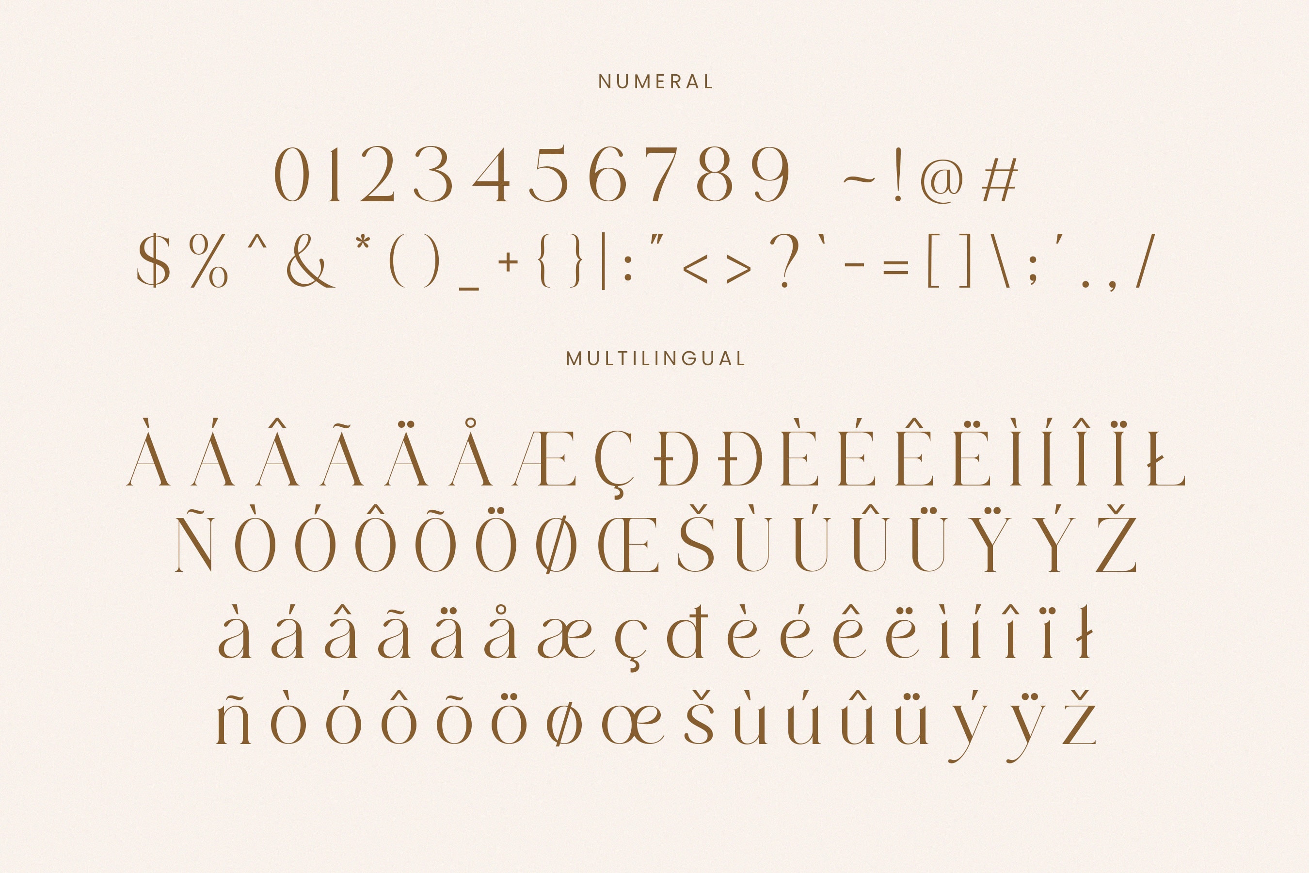 Mogan - Modern Serif Font, Decorative Font, Canva Font, Procreate Font ...