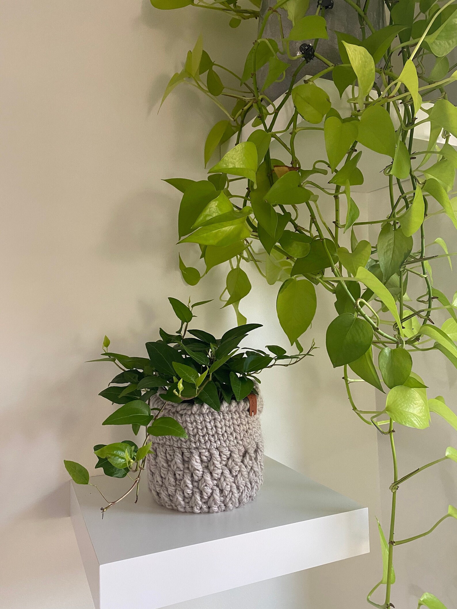 Plant Basket with Handles Plant Pot Cover Plant Pot Sleeve | Etsy