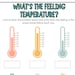 Feelings Thermometer SEL Activity Printable for Therapists/school ...