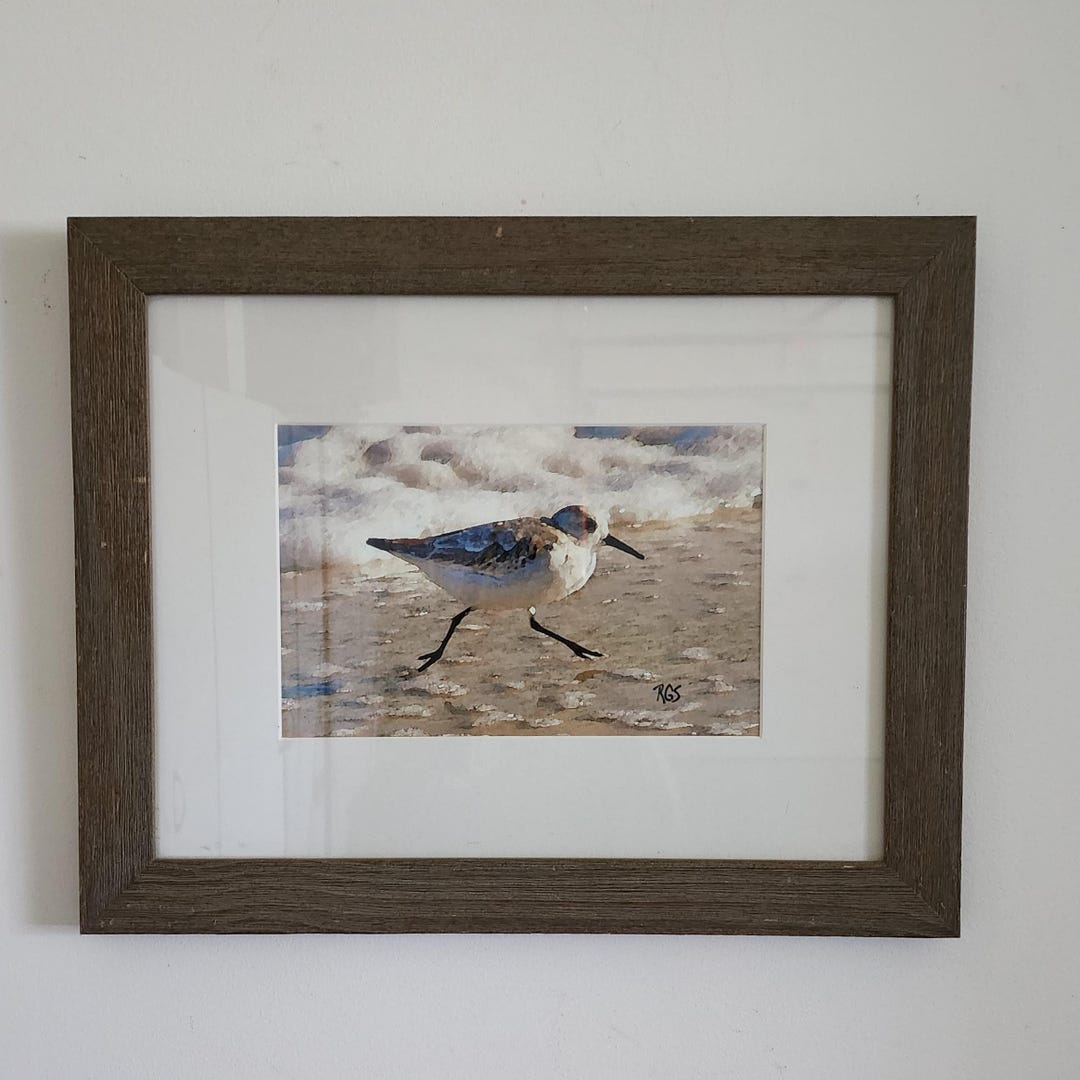 Signed Art of Coastal Sandpiper Professionally Framed in Distressed ...
