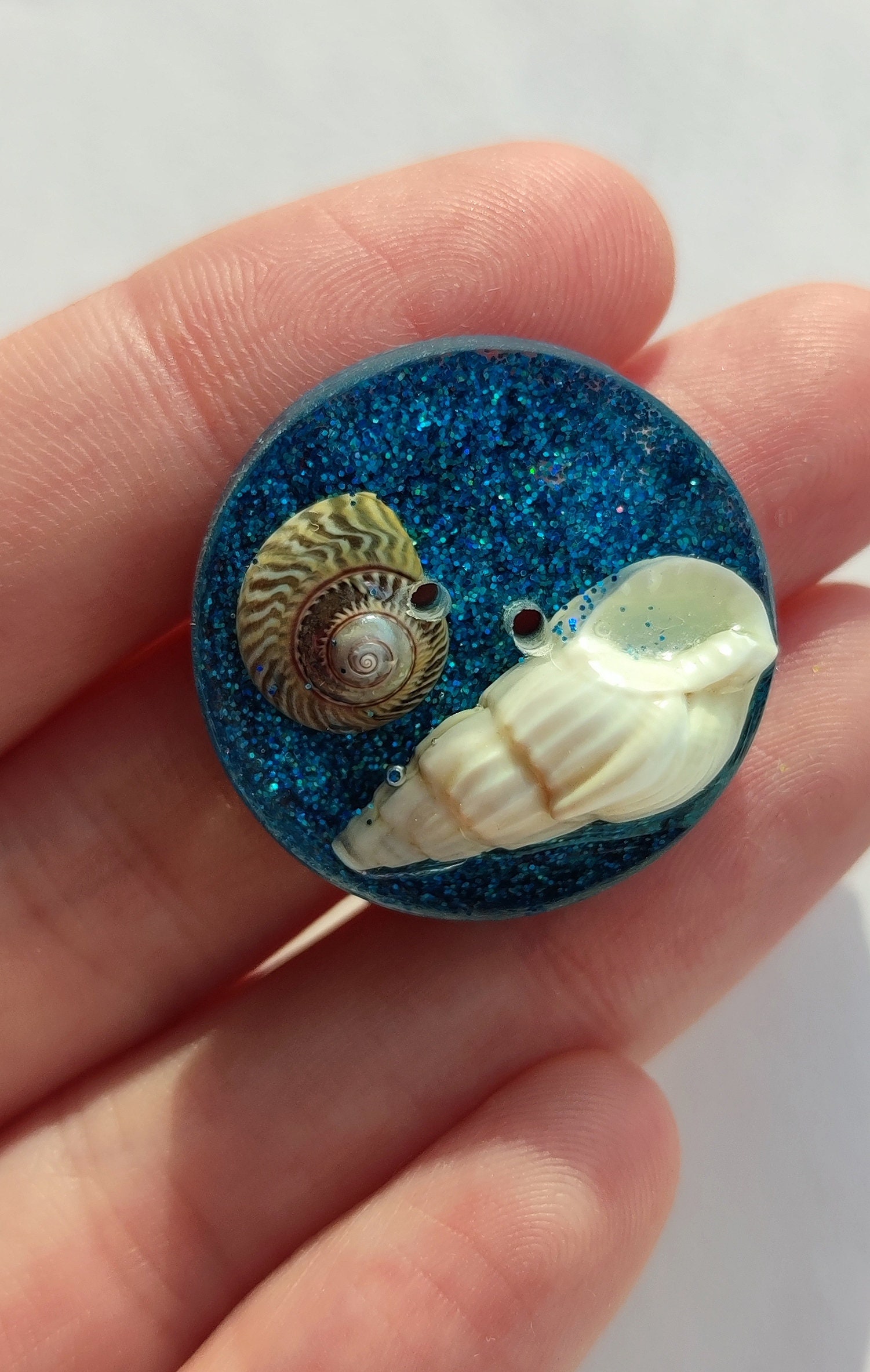 Resin Seashell buttons Real Sea shell marine Sewing buttons | Etsy