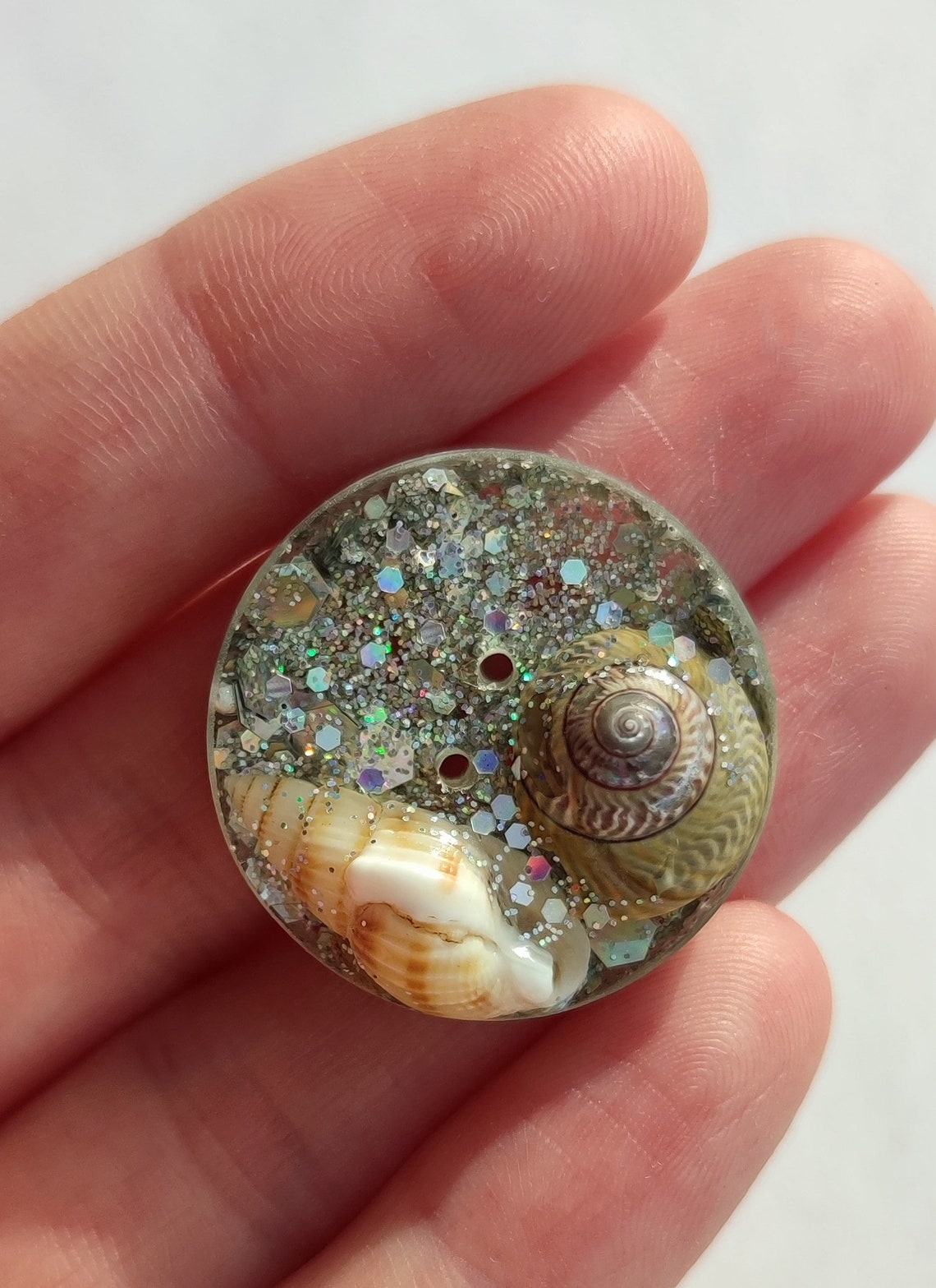 Resin Seashell buttons Real Sea shell marine Sewing buttons | Etsy