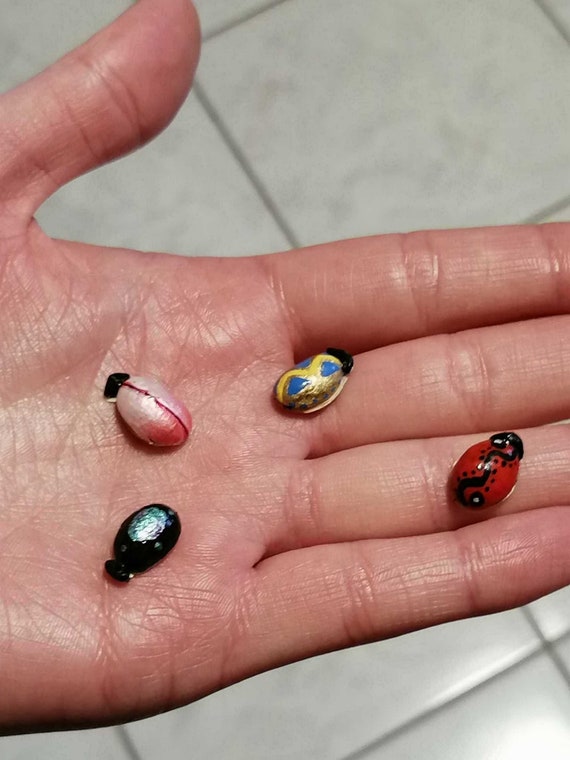 Ladybug Bean Insect Coffee | Etsy