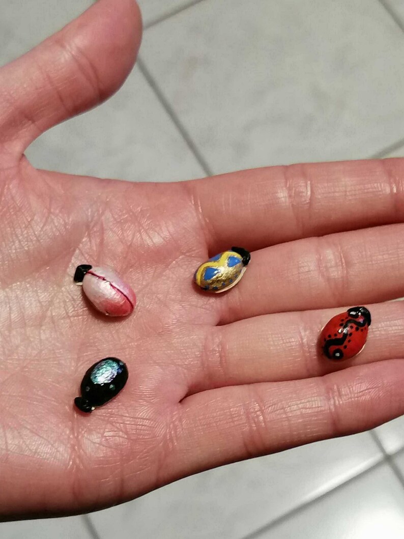 Ladybug Bean Insect Coffee - Etsy