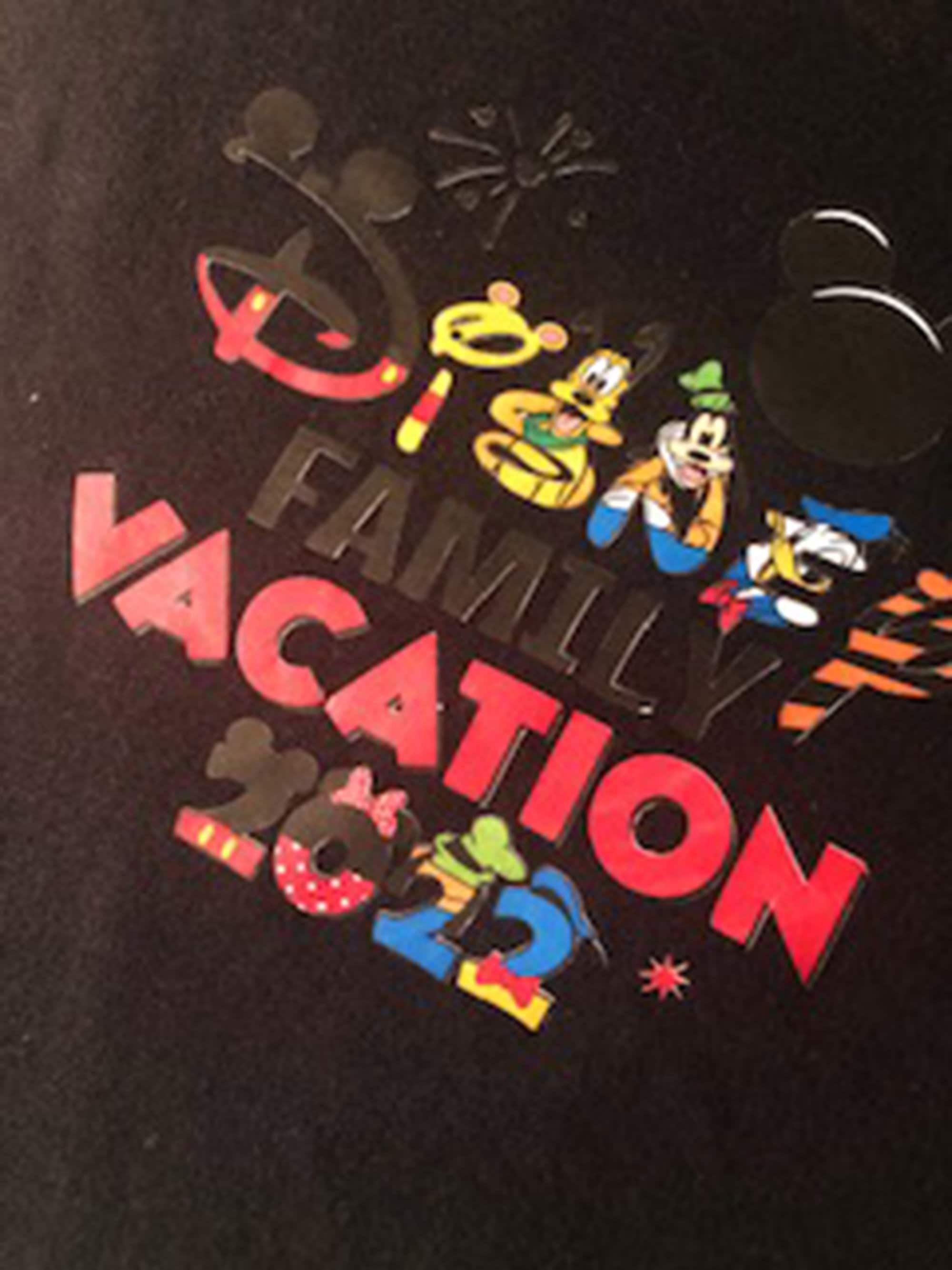 Siser Easycolor DTV-50 Sheet Pack - Etsy