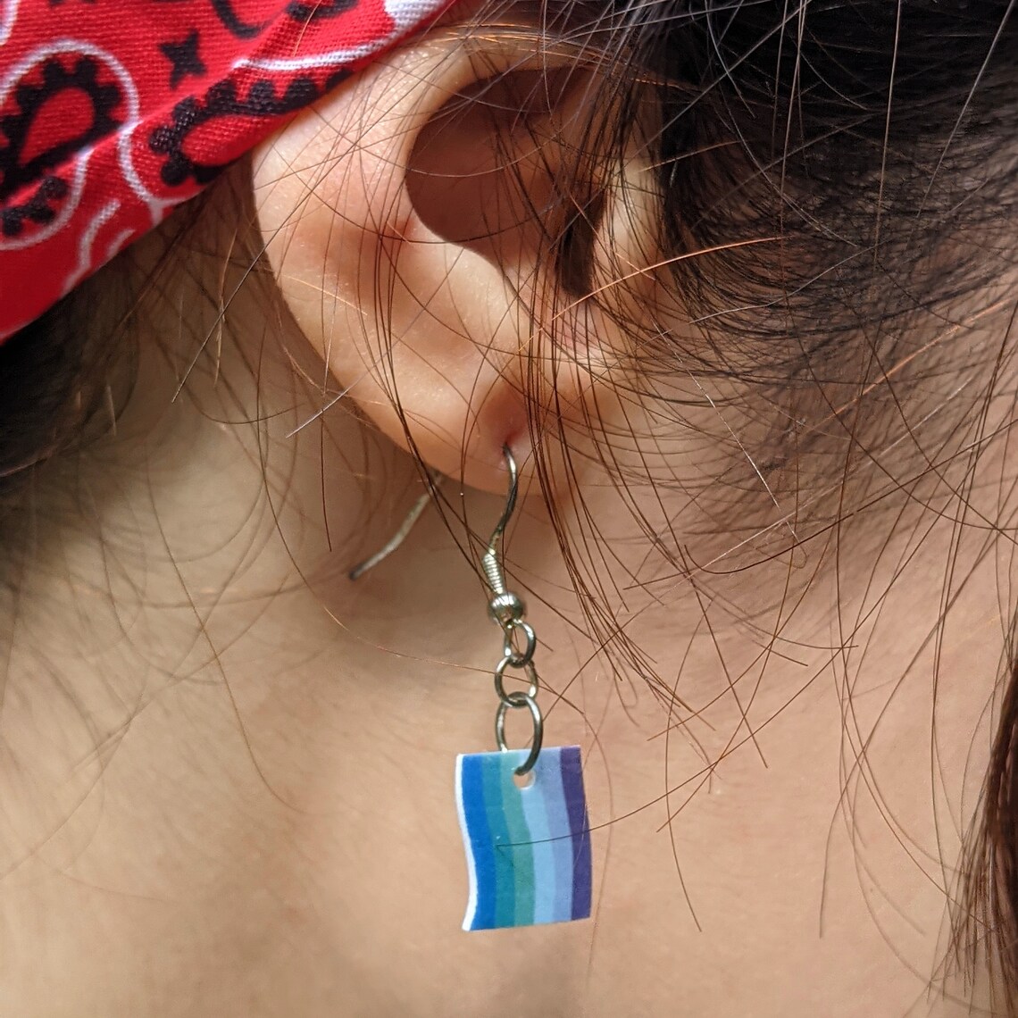 Neptunic Pride Flag Ohrringe Pride Ohrringe LGBT LGBTQ - Etsy.de
