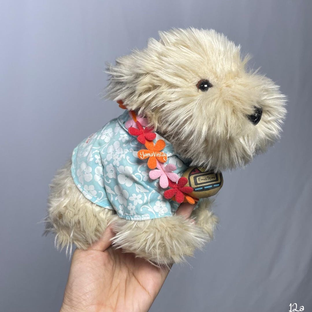 RARE Vintage Movie Einstein Dog Plush 7.5 , Second Hand , Catalan ...