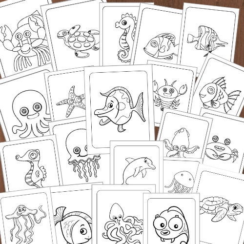 KDP Kids Coloring Pages Colouring Book Interiors KDP Etsy