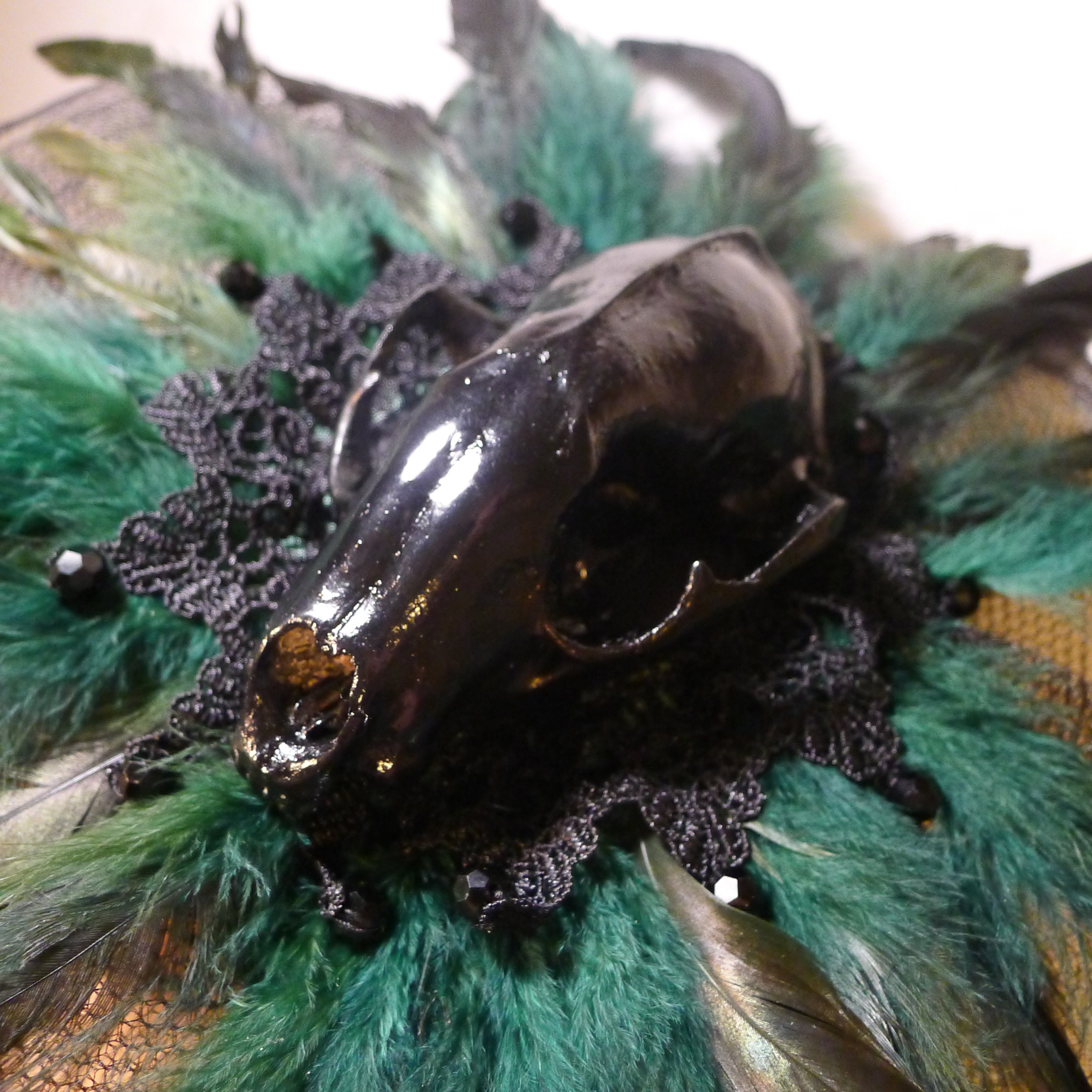 Raccoon Skull Fascinator Mini Hat w Plumas Negras y Verdes, Taxidermia ...