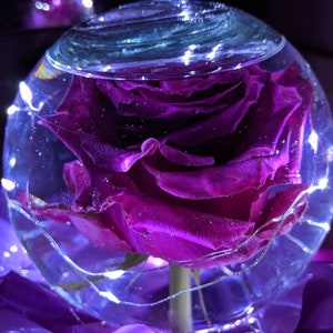 Real Rose Glass Globe Colorful Home Office Holiday Decor - Etsy