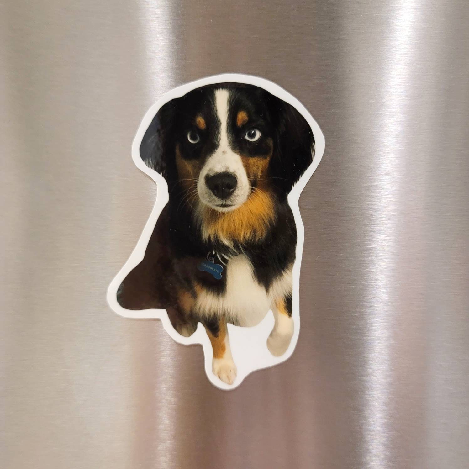 Custom Pet Magnet Fridge Magnet Pet Gifts Dog Magnet Cat - Etsy