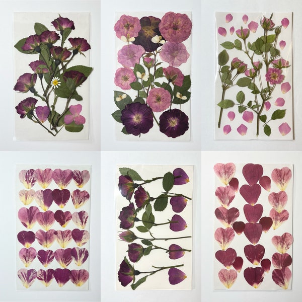 Dried Pressed Flowers - Etsy