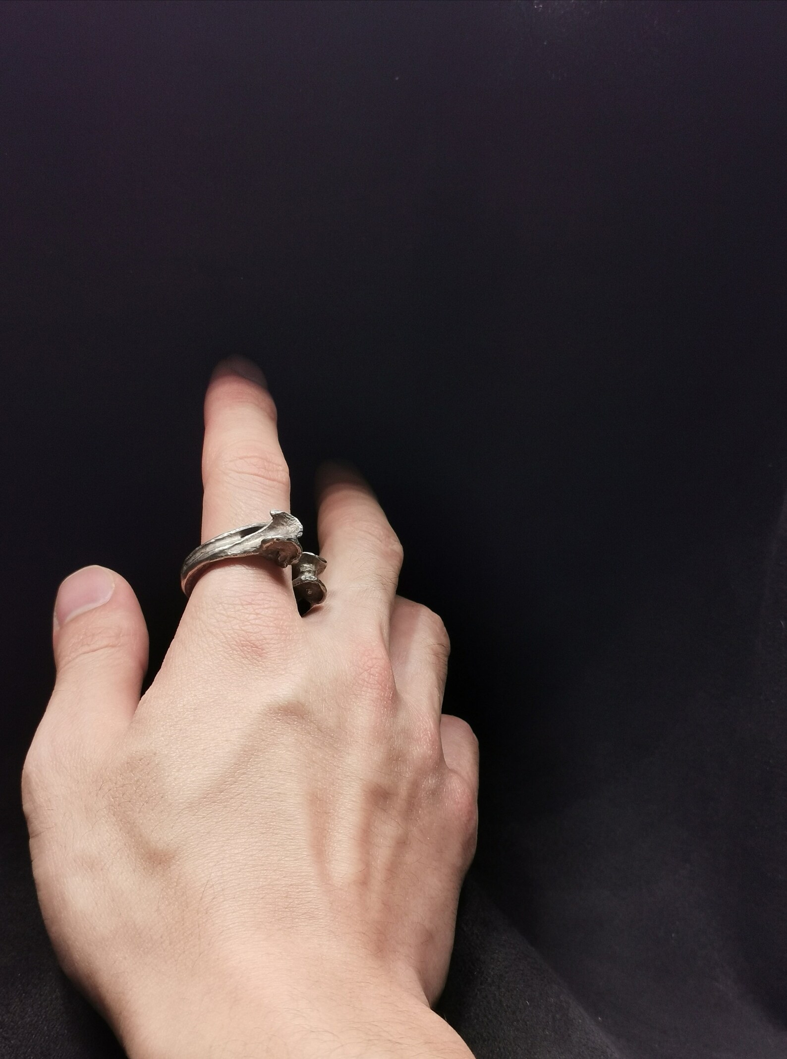 Dingy Tibia Ring Diablo Openings Ring Human Bone Sterling - Etsy