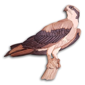 Osprey Carving - Etsy