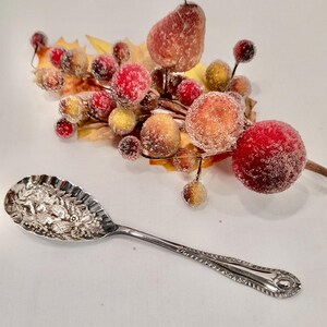 Silver Plate Berry Spoons / Berry Spoons / Small Berry Spoons / Fine ...