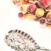 Silver Plate Berry Spoons / Berry Spoons / Small Berry Spoons / Fine ...