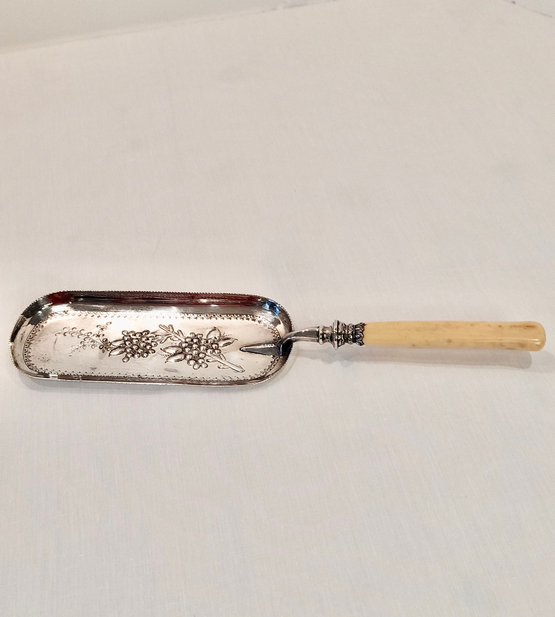 Edwardian Crumb Catcher / Edwardian Home / Crum Tray / Period Living ...