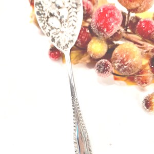 Silver Plate Berry Spoons / Berry Spoons / Small Berry Spoons / Fine ...