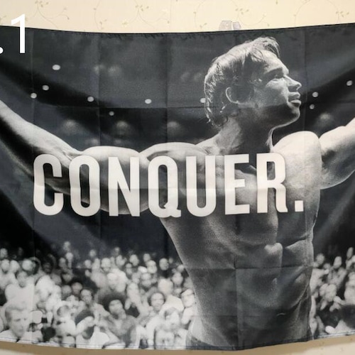 Arnold Schwarzenegger Conquer Gym Flag Any Size Motivation | Etsy Australia